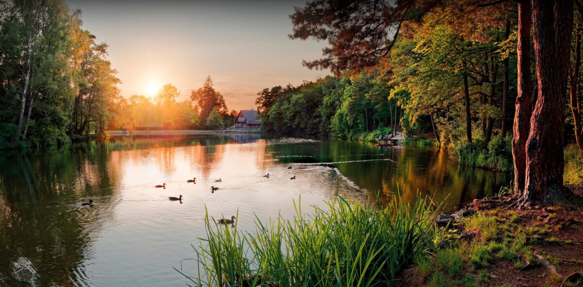 Home | Město Říčany